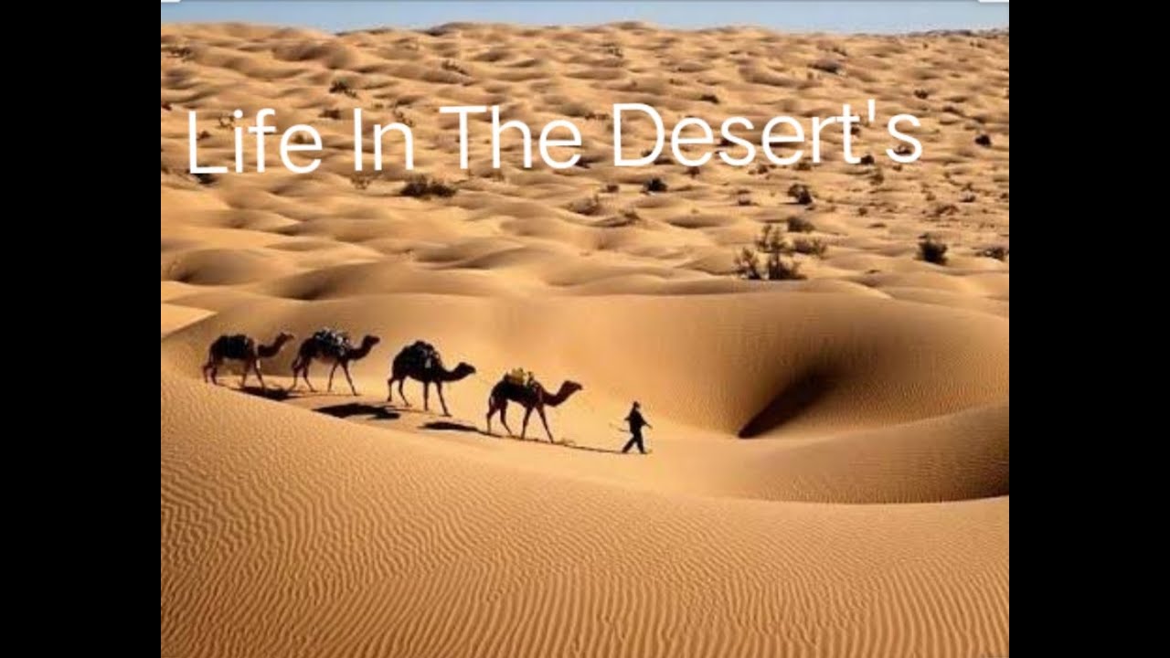 Life In The Deserts ##Geography 6th class - YouTube