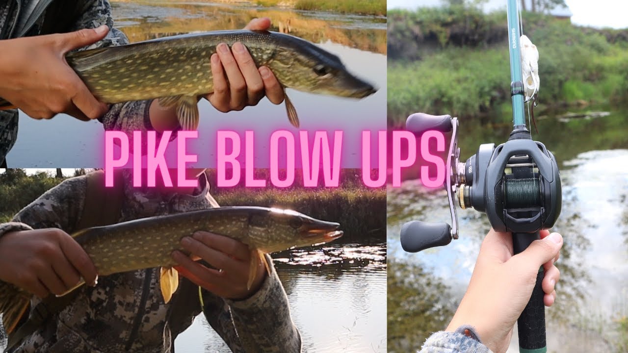 pike top water bite was insane! - YouTube