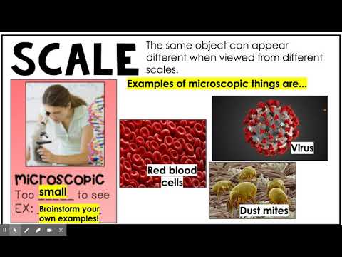 Cross Cutting Concept: Scale, Proportion, Quantity - YouTube