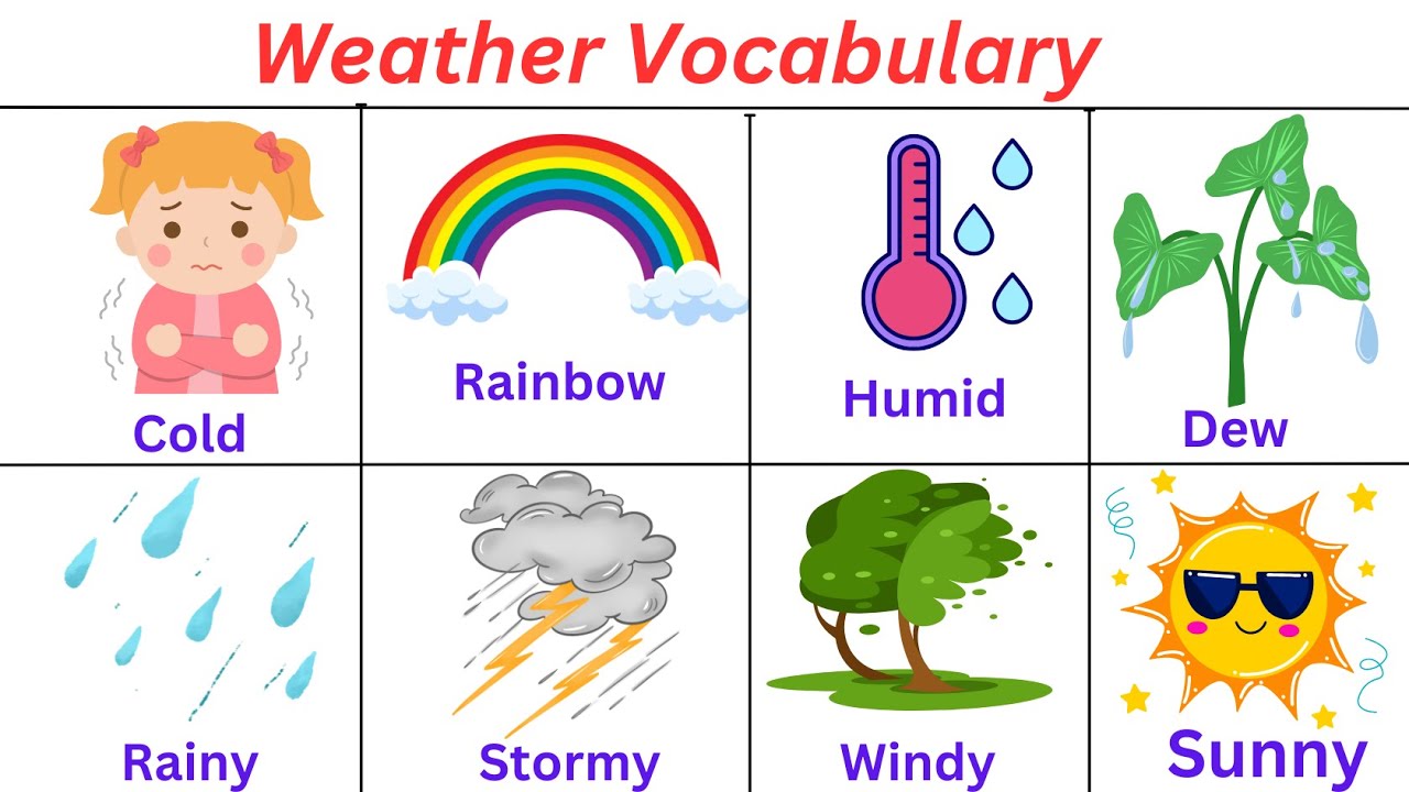 Types of Weather | Learn About Types of Weather | Weather Vocabulary in ...
