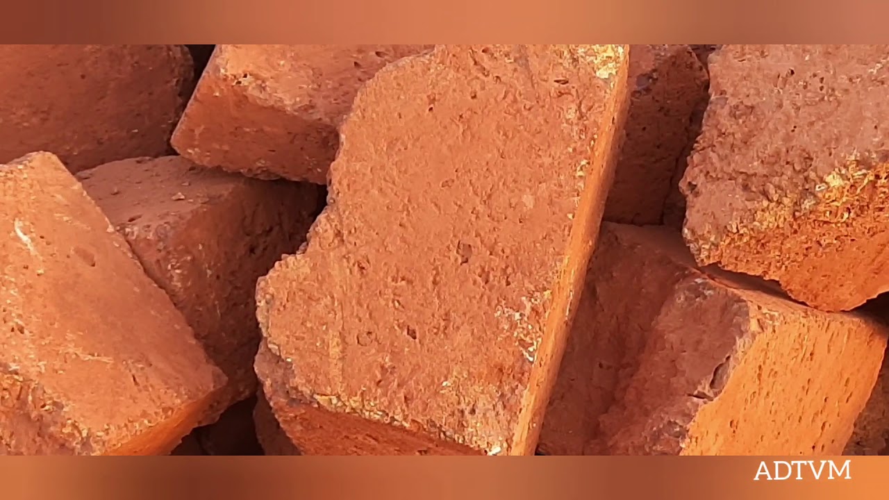 Building Cow Shed/Gotha EP04: Making the basement!! - YouTube