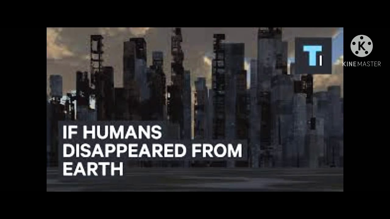 AFTER HUMAN DISAPPEARS ON EARTH 😦 - YouTube