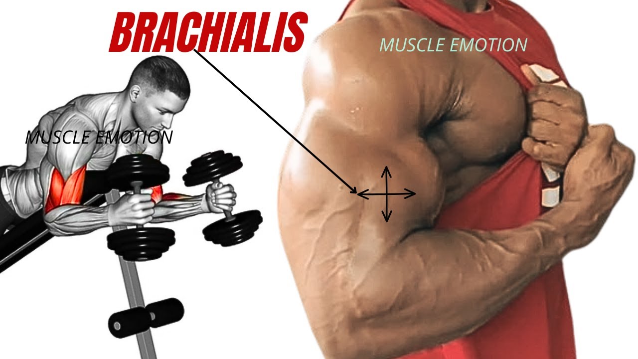 13 BEST BRACHIALIS WORKOUT AT GYM TO GET BIGGER ARMS FAST - YouTube