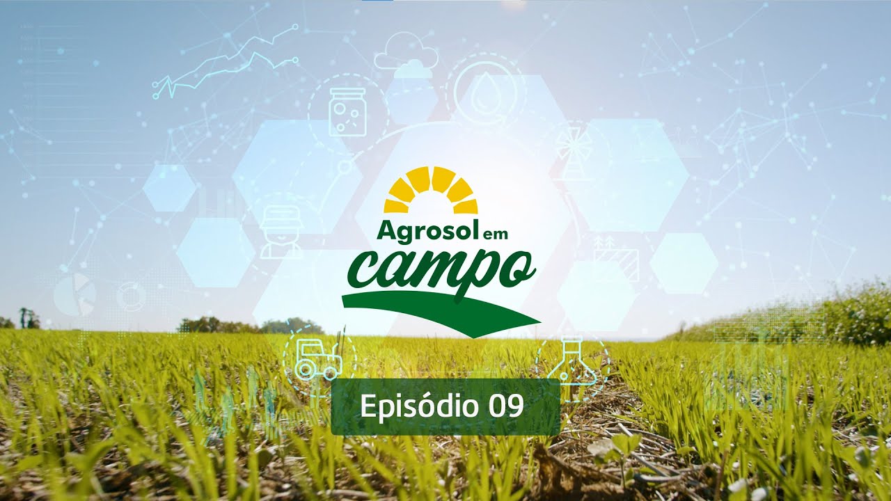 Agrosol em Campo - Episódio 9 - YouTube