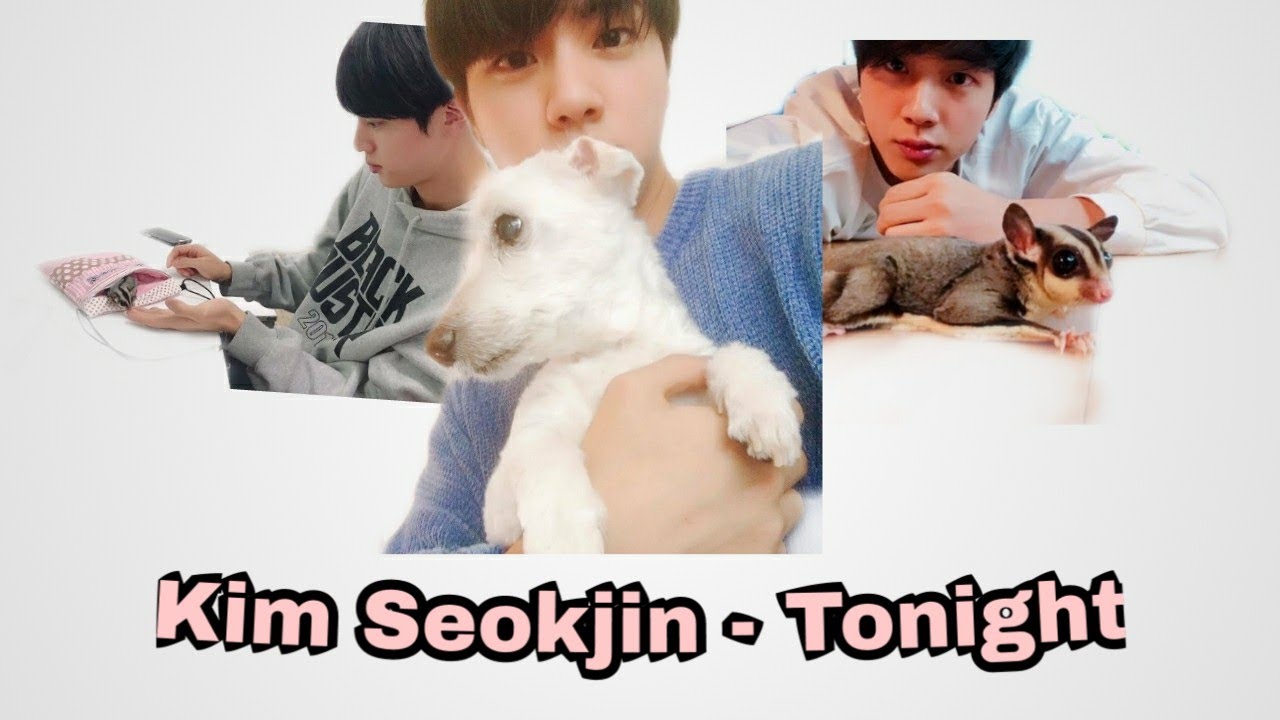 Tonight by 방탄소년단 BTS Jin FMV (feat. his pets) | Happy 1st Anniversary ...