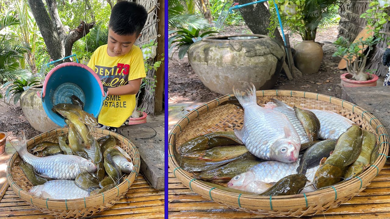 Seyhak has learned how to cook fish from Mom - Chef Seyhak - YouTube