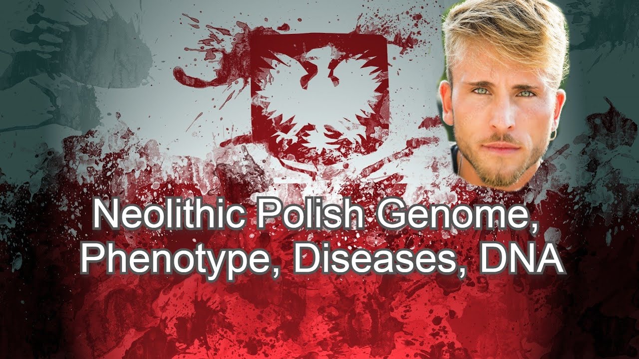 DNA + Appearance of Globular Amphora (Neolithic Poland) - YouTube