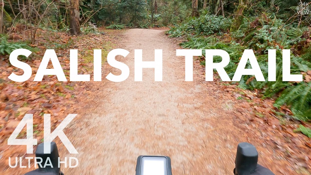 Salish Trail - Downhill(GoPro), Vancouver, BC Jan 26, 2024 [4K BIKE ...