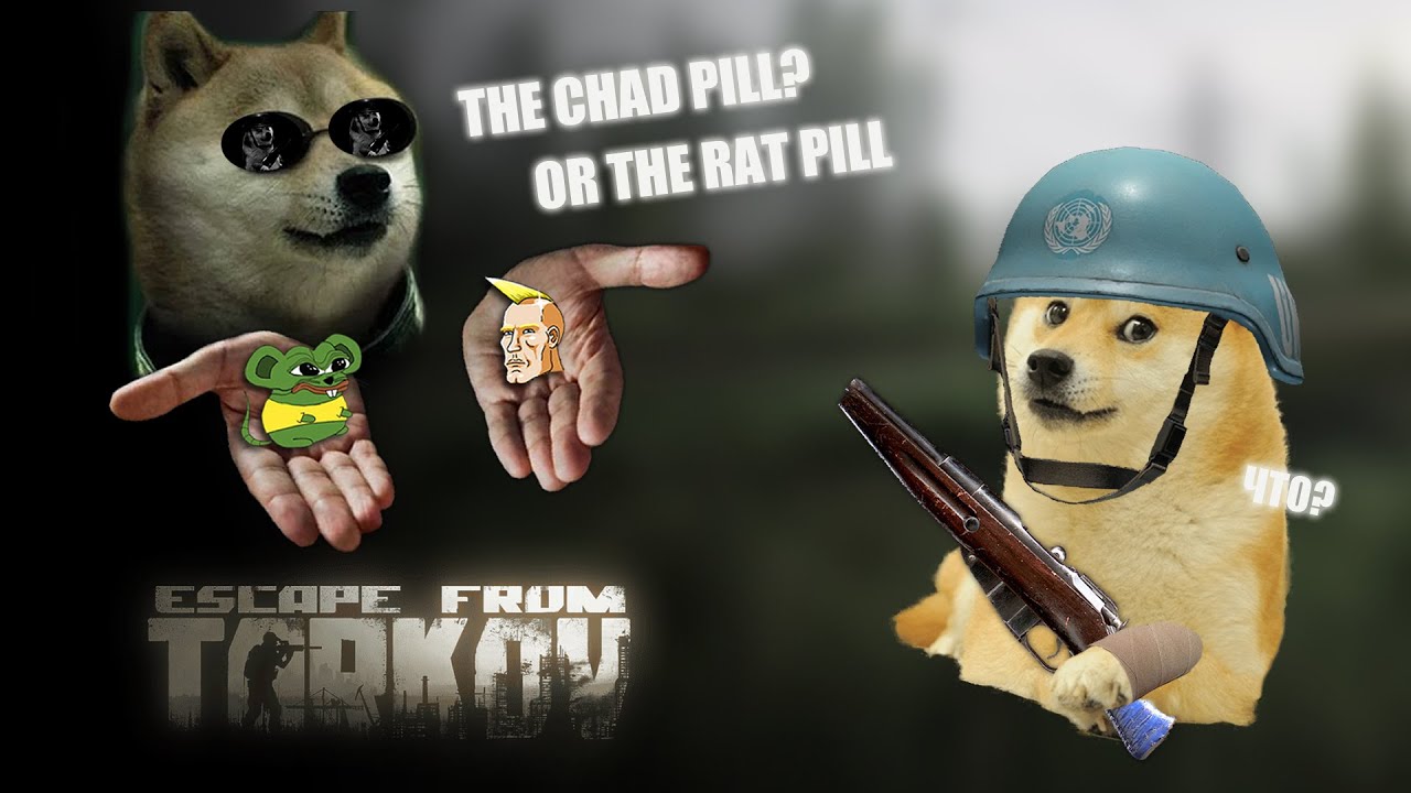 Rat or Chad? Your choice! Escape from Tarkov - YouTube
