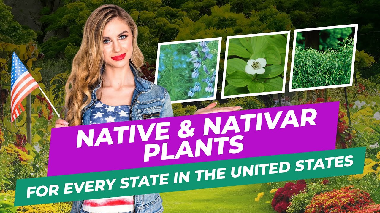 🌺 Native & Nativar Plants For Every State In The United States 🌿 - YouTube