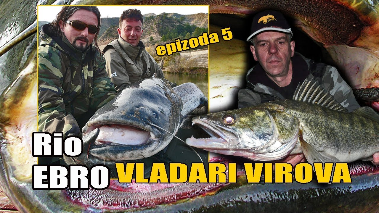 SOMovi i SMUĐevi iz dubina! Recept za prženog smuđa - Vladari virova E ...