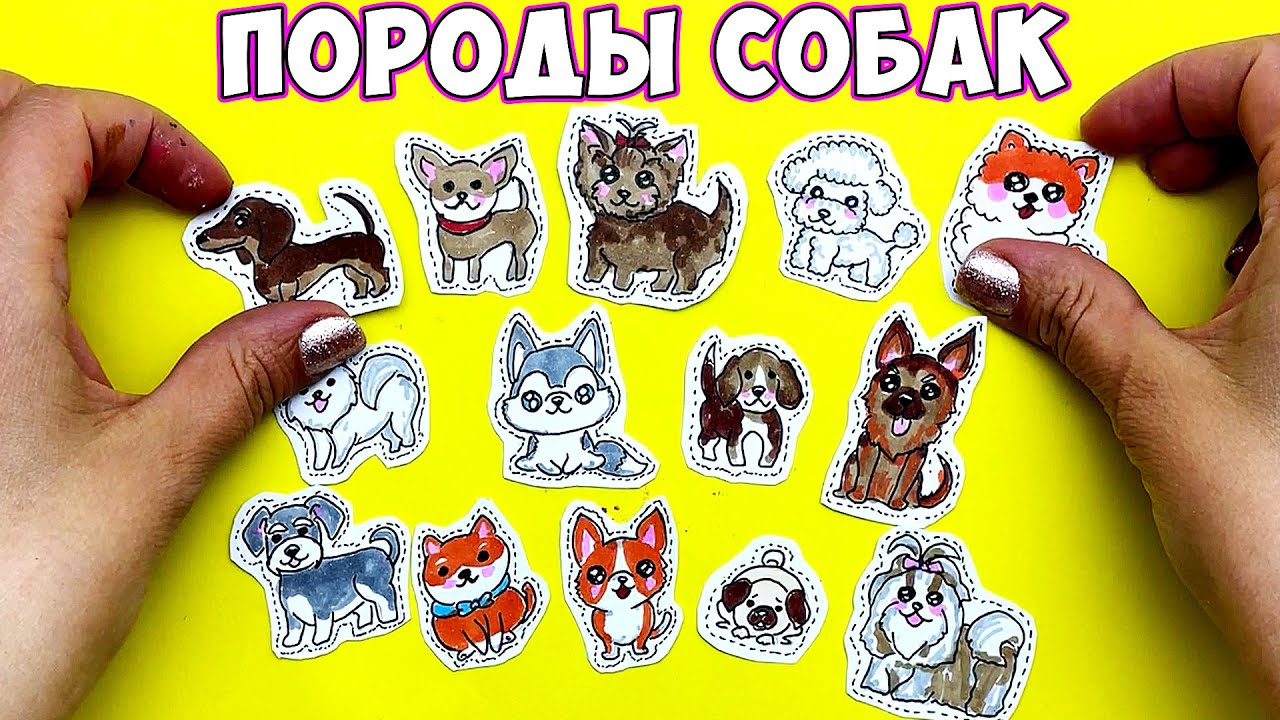 Делаем СТИКЕРЫ Породы Собак своими руками | Рисунки Юльки - YouTube