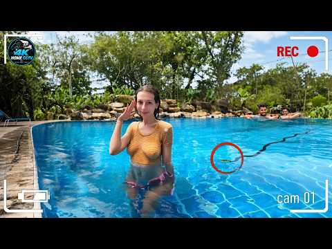 Funniest CCTV Fails #07 | Incredible Moments Caught on Camera