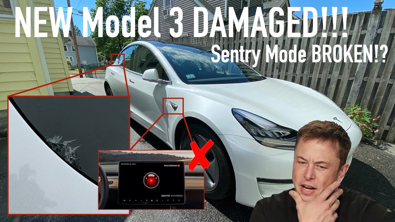 Tesla Model 3 Delivered CRACKED! Sentry Mode Broken! - First Tesla ...