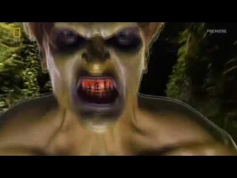 Brain Games Dont Be Afraid Part 01.mp4 - YouTube