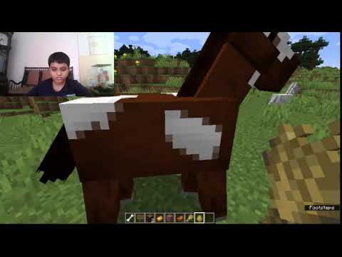 How to tame a Wolf and a Dog in Minecraft! - YouTube