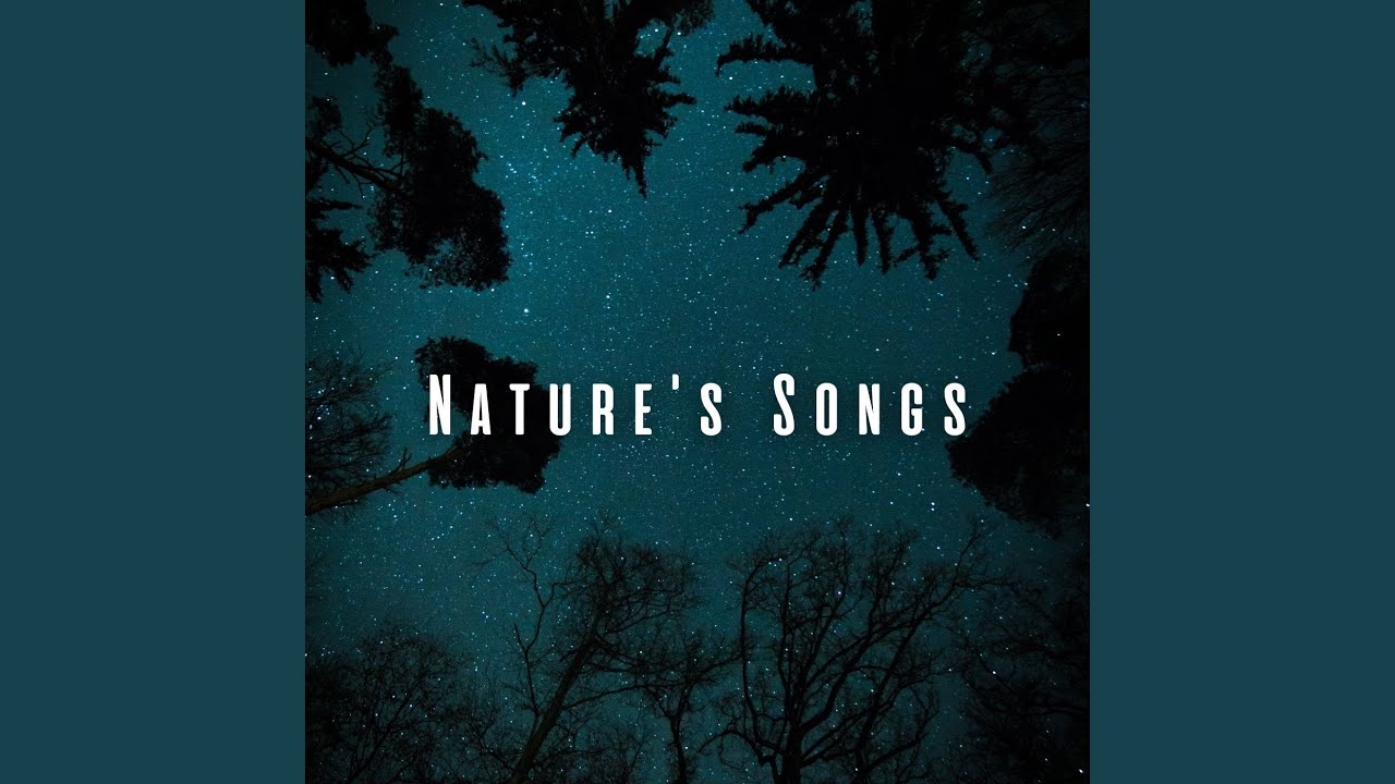 Restful Nature Whispers - YouTube