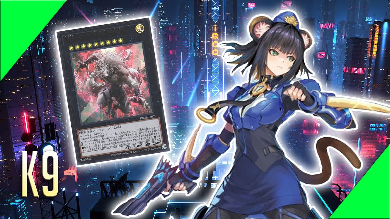 不要小看我手坑的情報網! K9牌组分享 (DBJH) OCG - YouTube