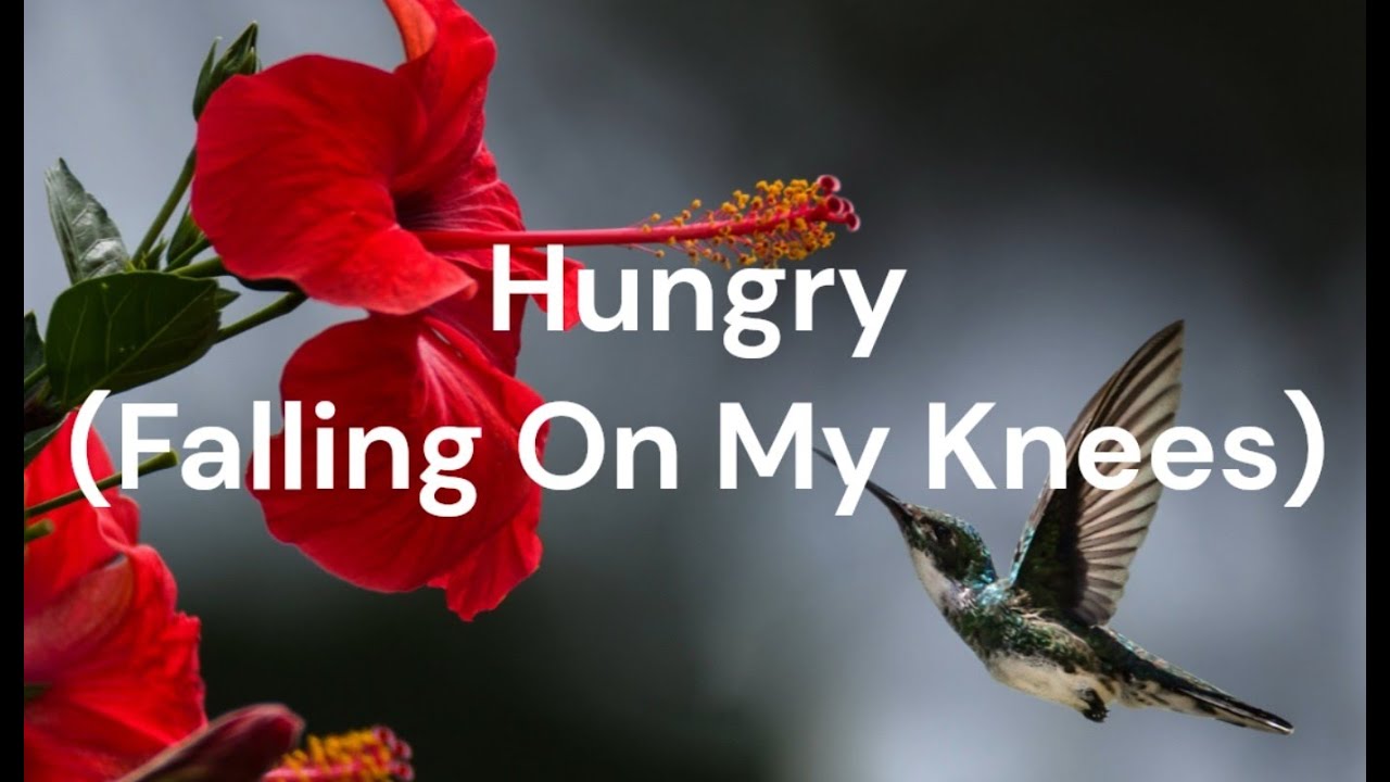 Hungry (Falling On My Knees) | Rachel Milstead (lyric video) - YouTube