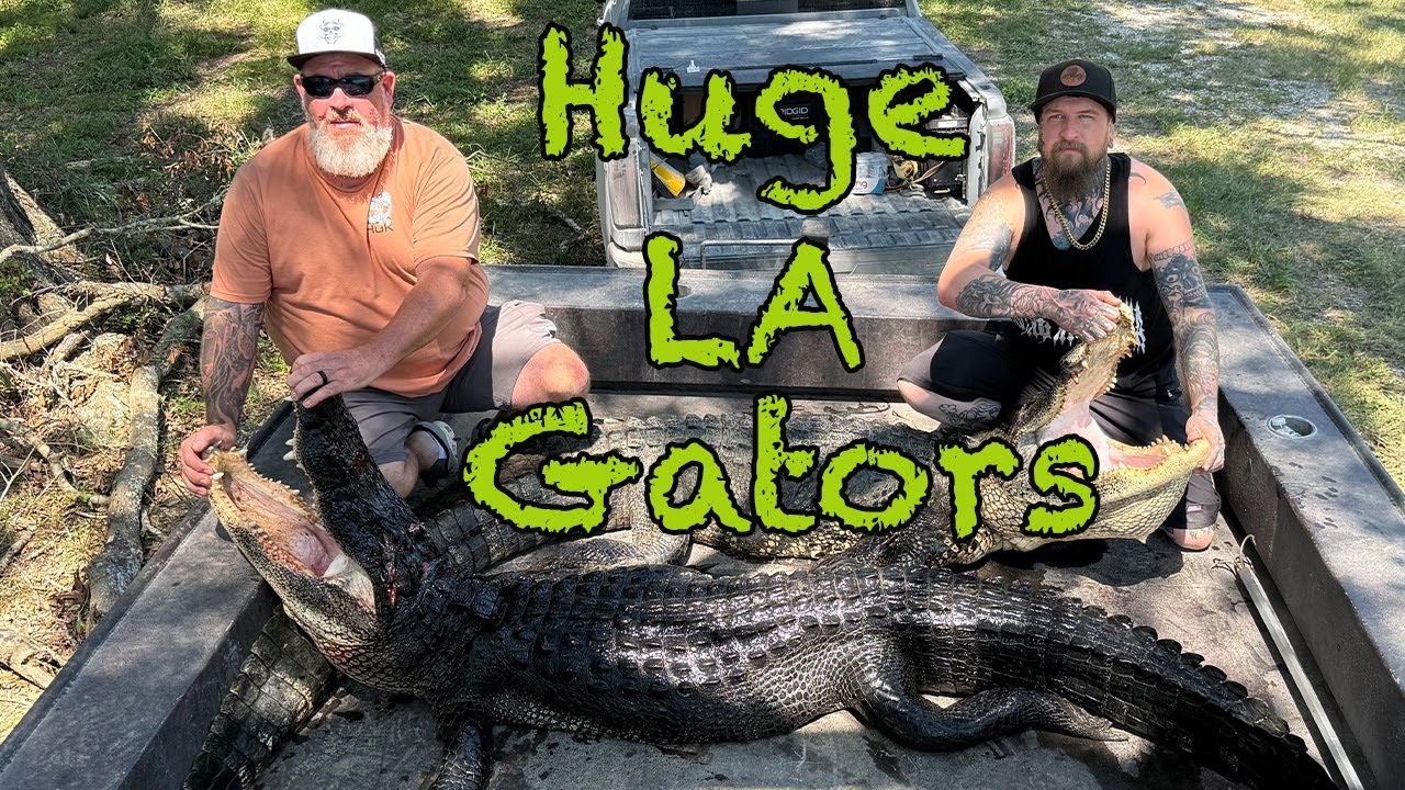 SOUTH LOUISIANA GATOR HUNT W/ LA GATORWORX | 10'9 & 10'7 GATORS TAKEN ...