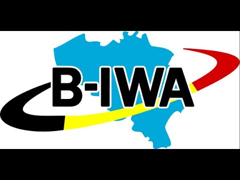 Introduction of B-IWA by Prof. Ilse Smets - YouTube