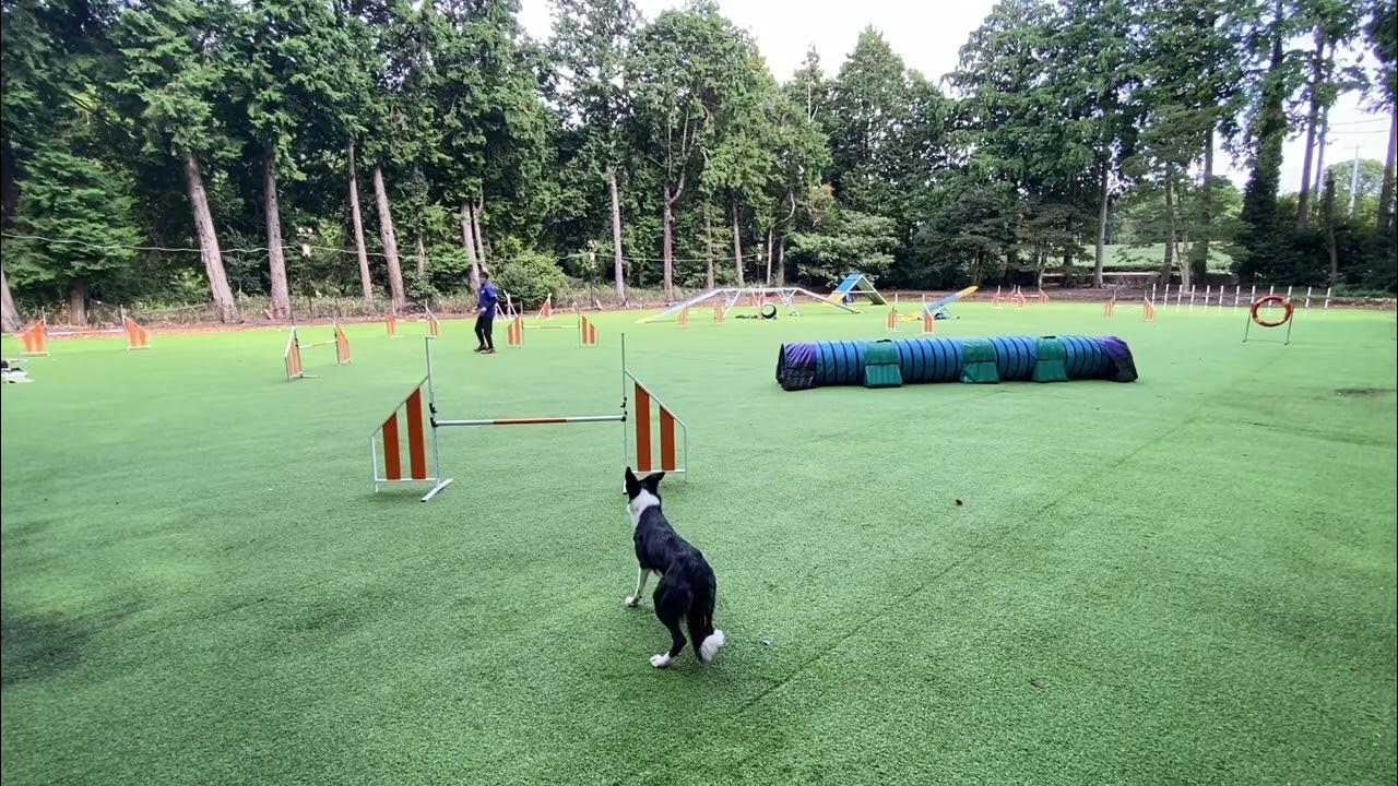 2024.10.31 KIINA - YouTube