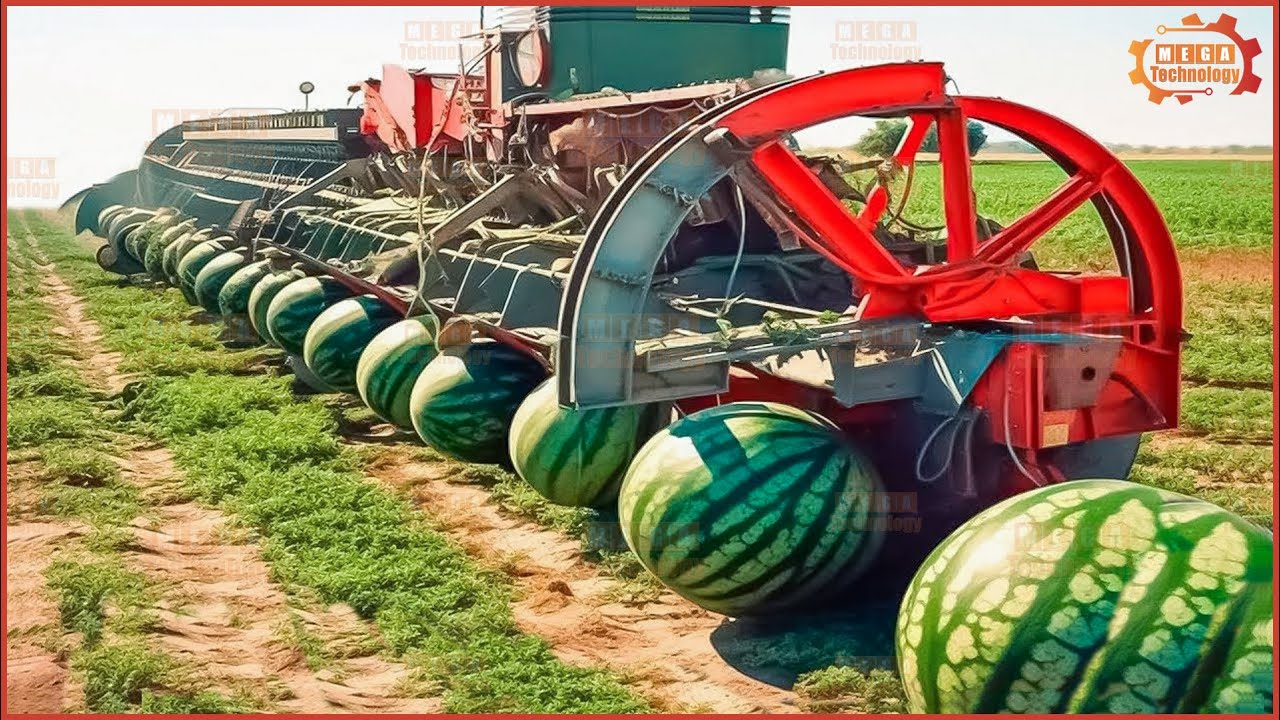 50 Modern Agricultural Machines, Harvesting Vegetables That Work at a ...