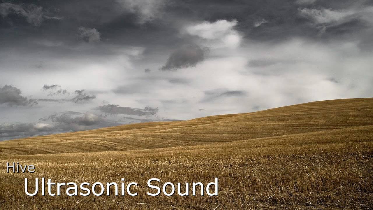 Hive - Ultrasonic Sound [Reversed] - YouTube