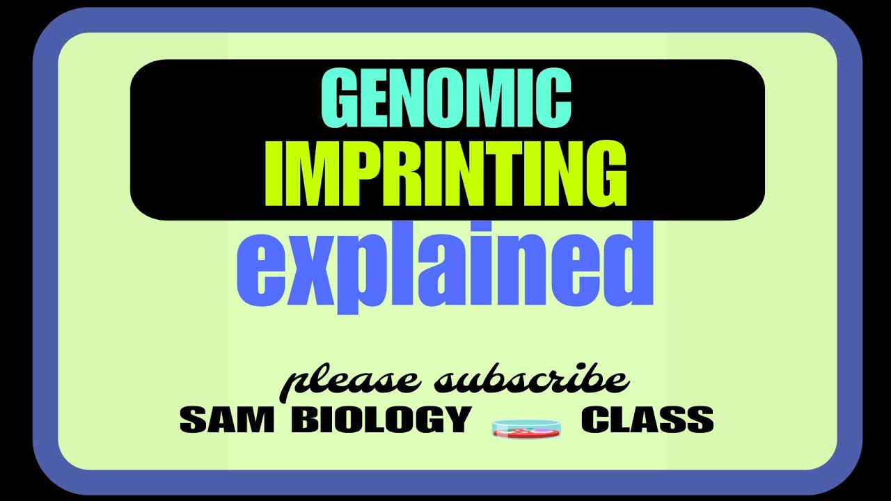GENOMIC IMPRINTING @SAM BIOLOGY 🧫 CLASS. - YouTube