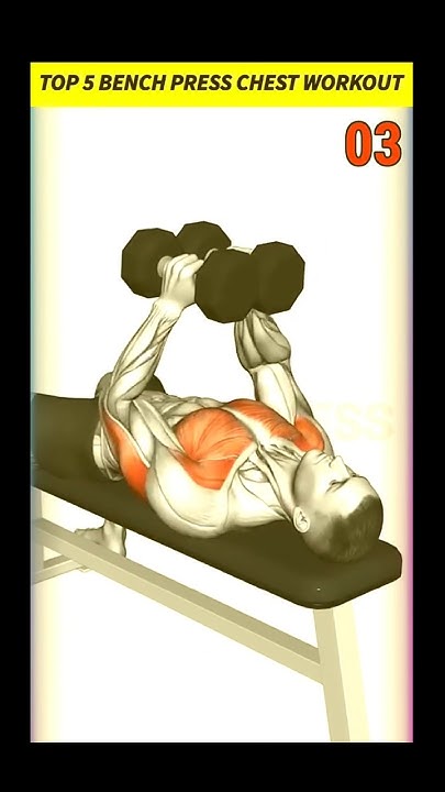 Top 5 Bench Press Chest Workout 💪fitness Fitnessmotivation Trending Youtube