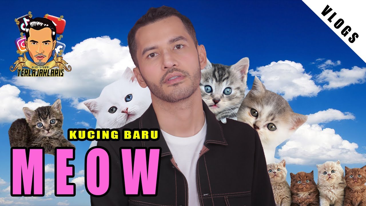 Kucing Baru Meow - Dato Sri Aliff Syukri Terlajak Laris - YouTube