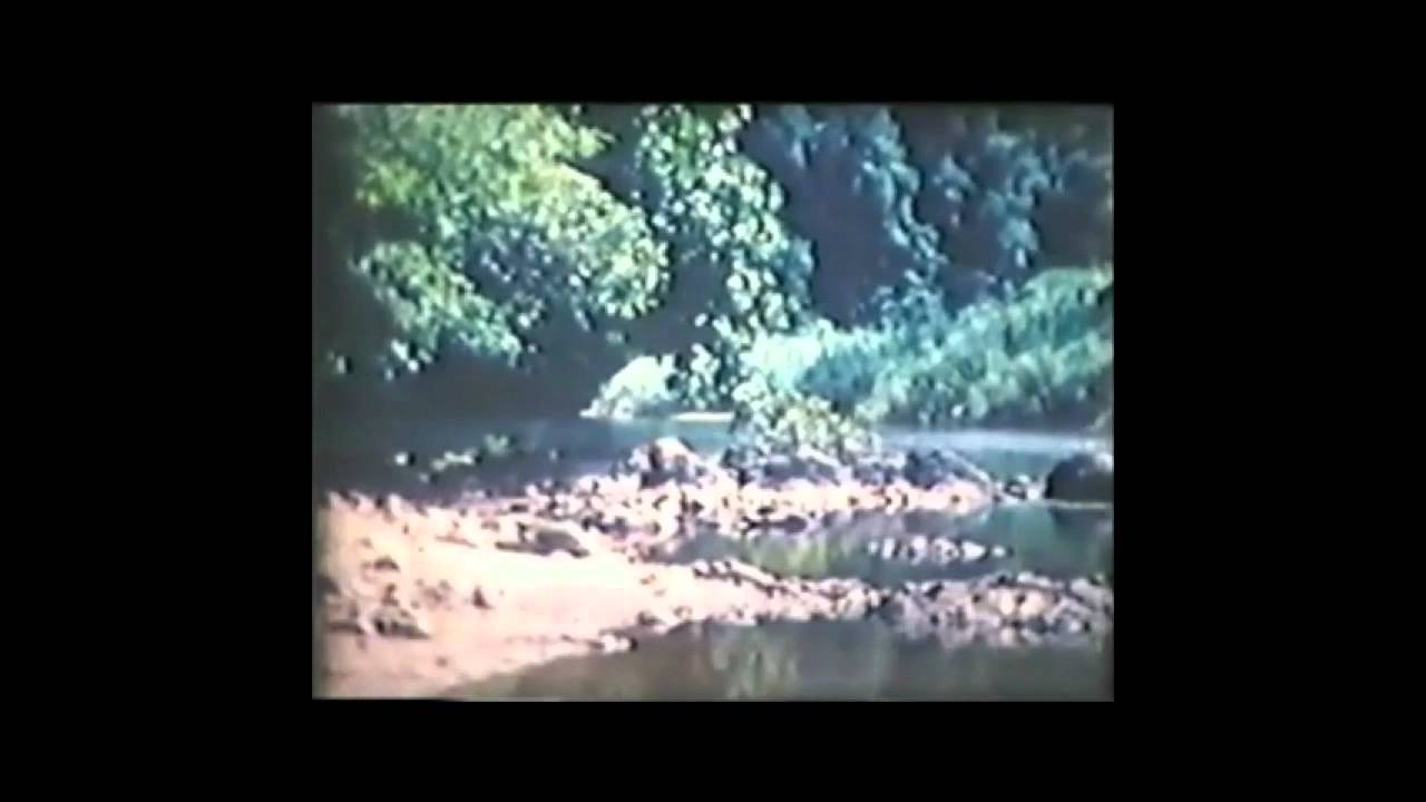 Fort Tapong Airstrip~Thai Malay Border~RAE - YouTube