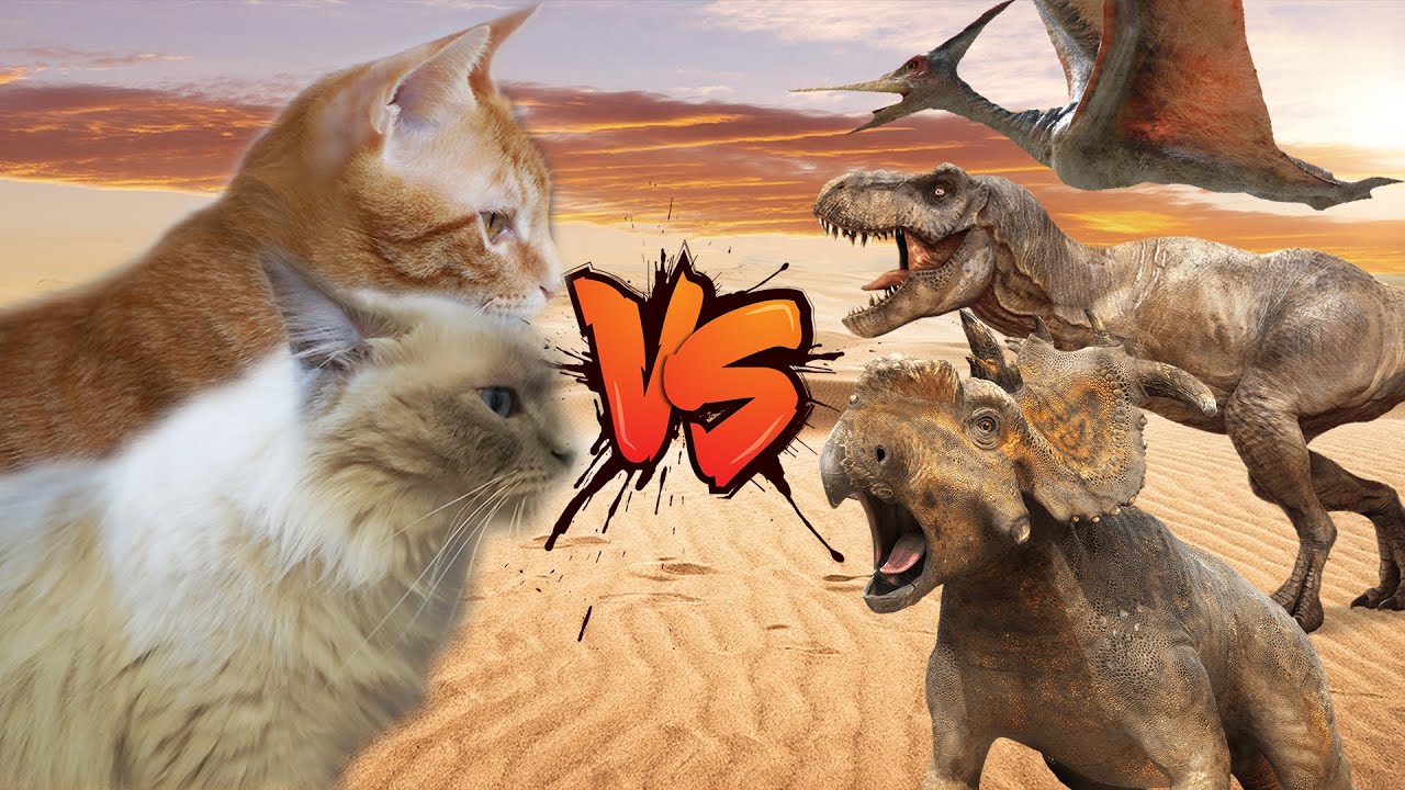 Cats VS Dinosaur🙀 | Funny Cat Reaction👽 - YouTube