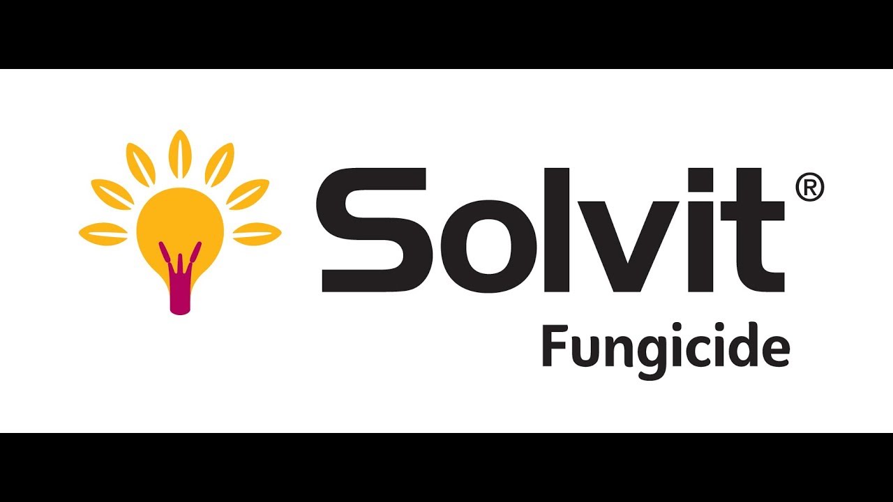 Solvit: the new solution for ornamentals - YouTube