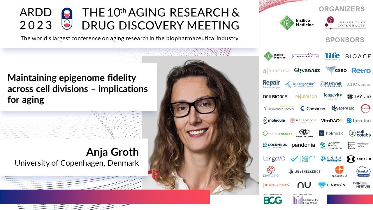 Anja Groth at ARDD2023: Maintaining epigenome fidelity across cell divisions – implications for ...