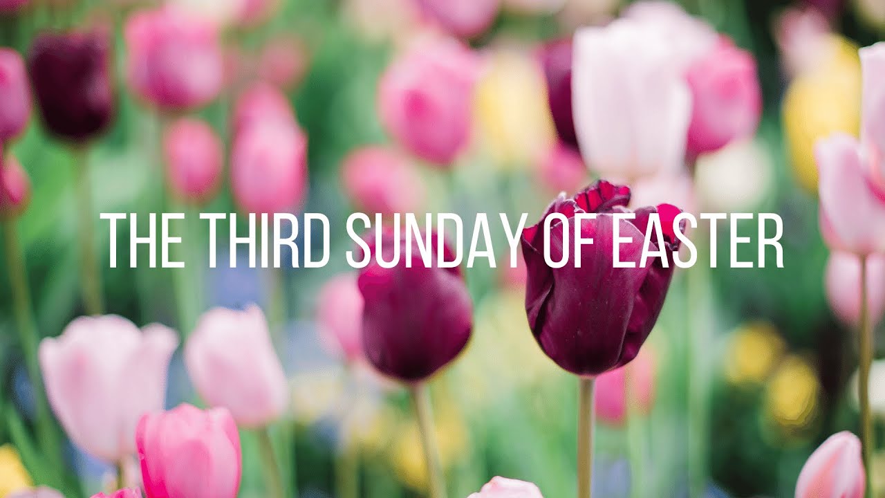 The Third Sunday of Easter | St. Luke's Episcopal Church, Evanston ...
