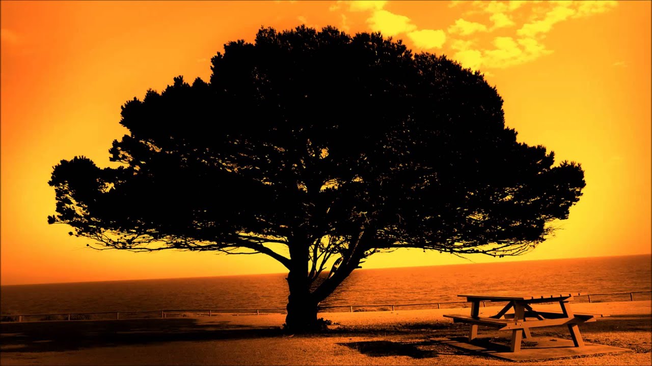 Kjuu - Sistēma Pied. Flabbijs - YouTube