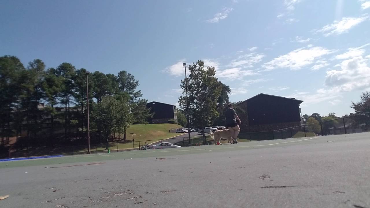 First novice rally course practice. - YouTube