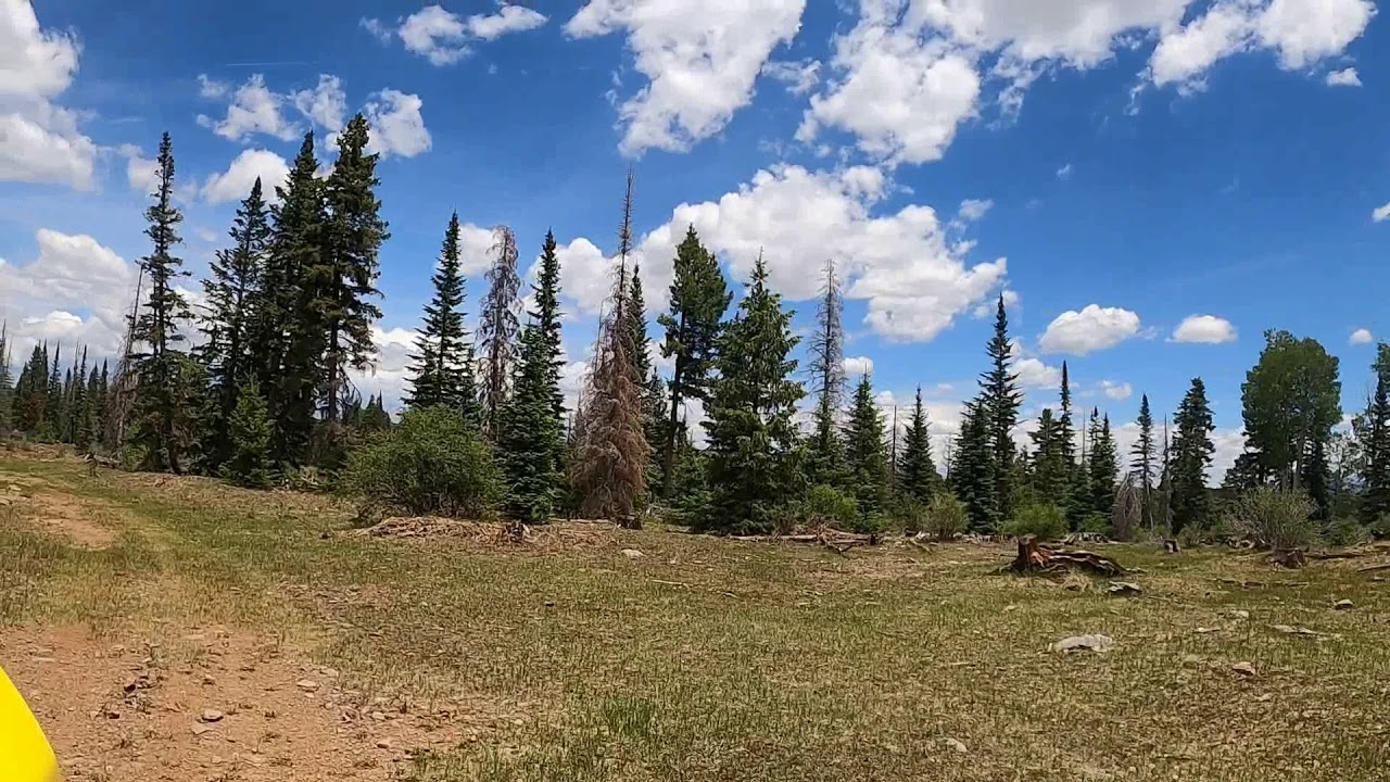trails around Big lake near Greer Az - YouTube