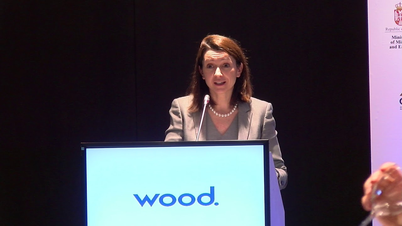 8th International Mining Conference in Serbia - Ms. Teodora Dechev ...