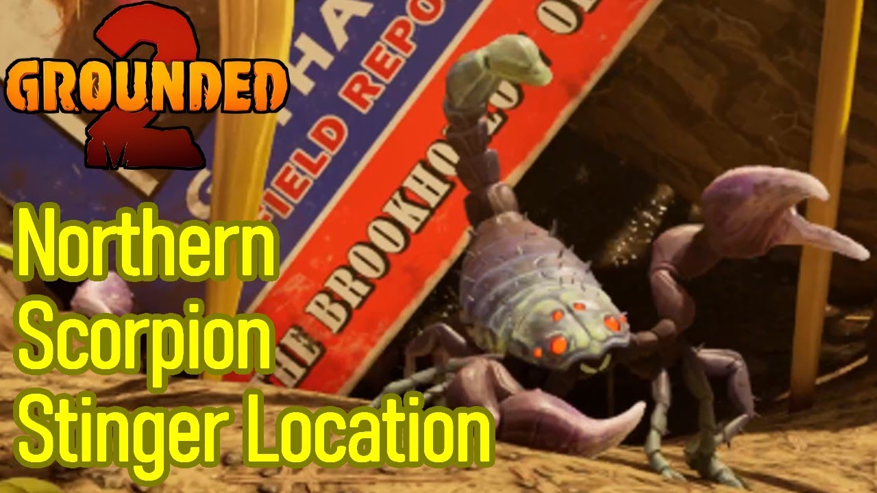 Grounded 2 northern scorpion stinger location - YouTube