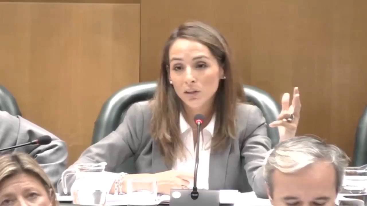 María Navarro defiende la Ofrenda de los ataques de ZEC - YouTube