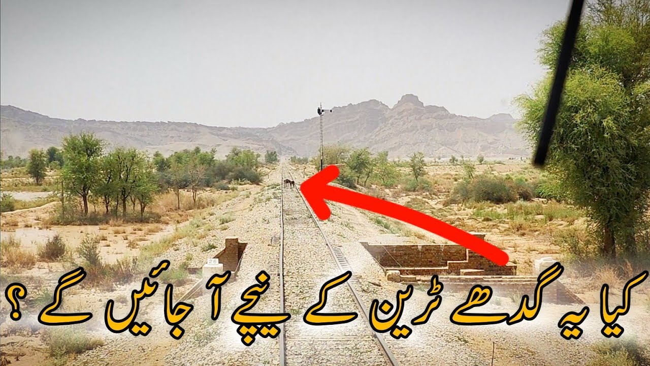 | Will These Donkeys Go Under The Train ? | Pakistan Railways ...
