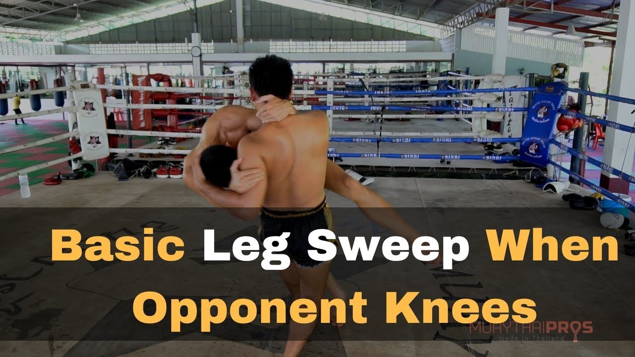 Basic Clinching Throw for Beginners - Leg Sweep When Opponent Throws a ...