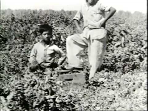 R Cesar Chavez Story CH1 - YouTube
