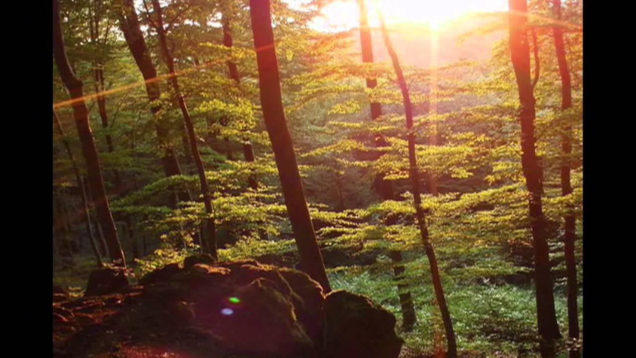 Ambient Studios Romance Custom Music - YouTube