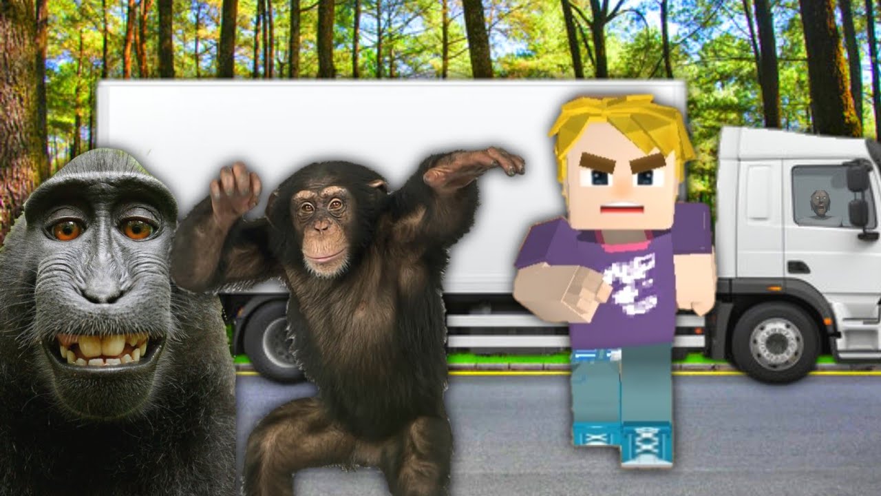The Escaped Lab Monkeys (BlockmanGo) - YouTube