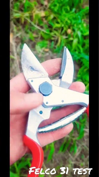 felco 31 preview 2022 - YouTube