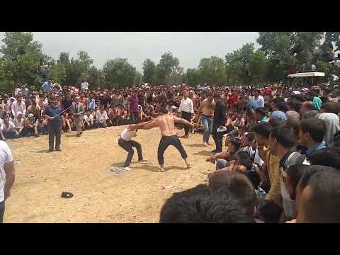 2019 seğ meheme kamçı festivali 2