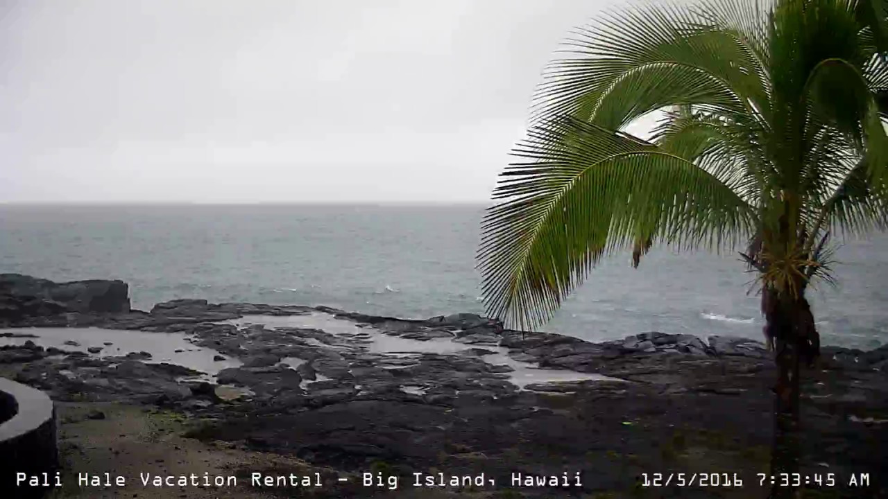 Pali Hale Live Stream from Puna Coast of Kea'au, Big Island Hawaii ...